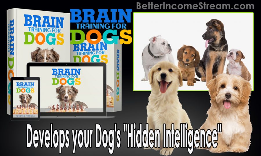 Brain Training for Dogs Review – Worth Trying? Here is The Truth!